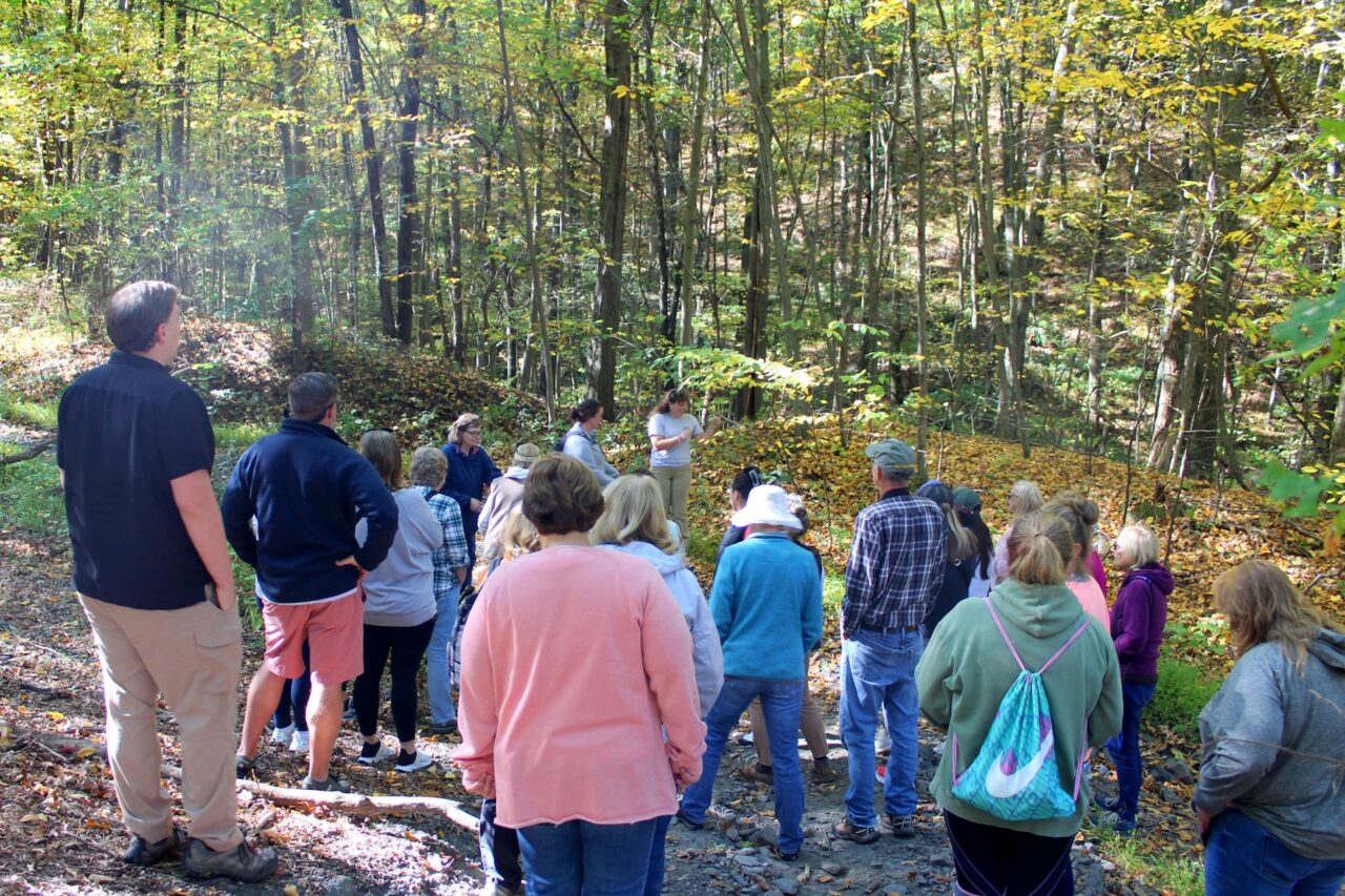 Exploring the Sugar Notch Trail with NBLT & DCNR - Earth Conservancy